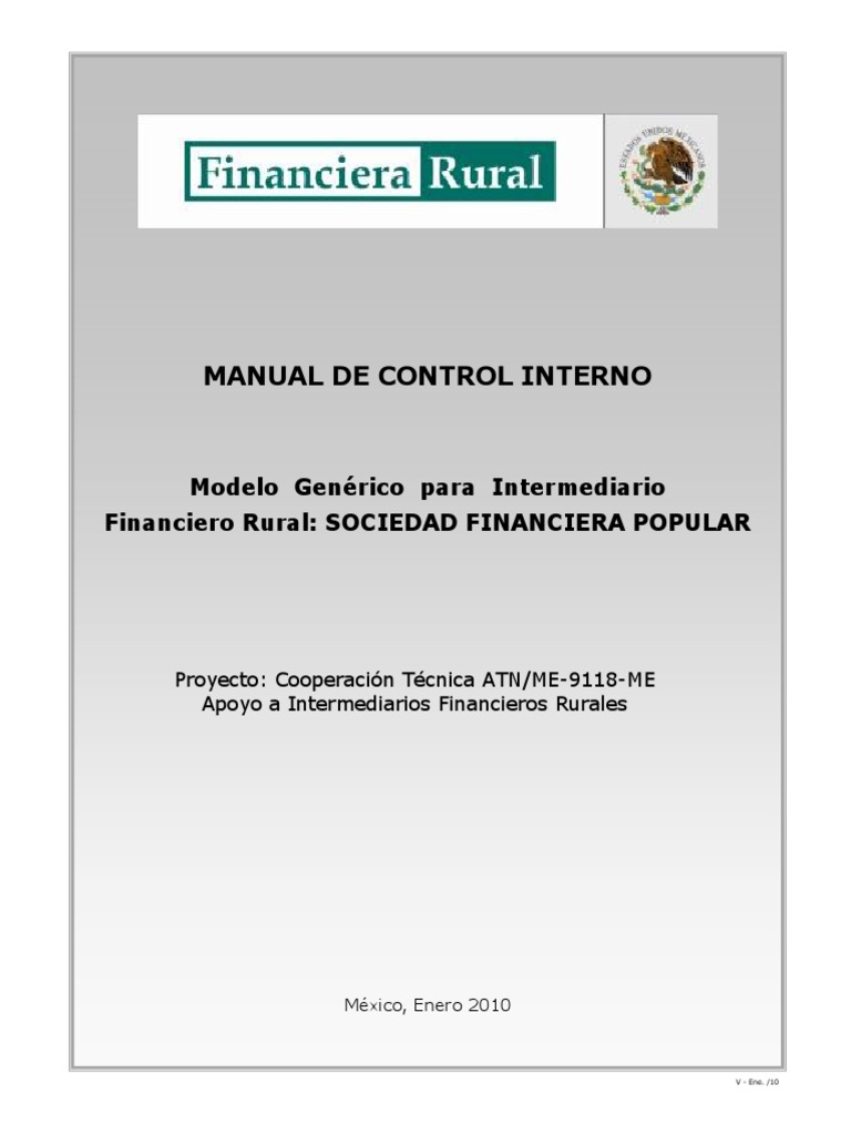 10 Manual de Control Interno.pdf