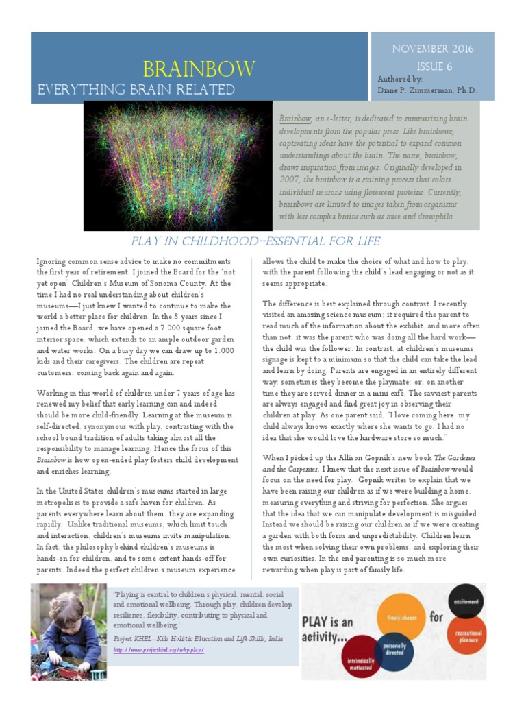 Brainbow 11 29 2016 6 Final | PDF | Cerebral Cortex | Brain
