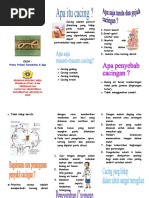 Brosur Cacingan | PDF
