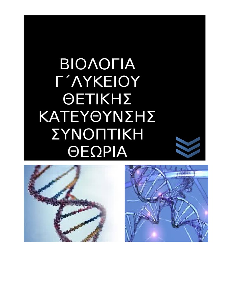 ΣΥΝΟΠΤΙΚΗ ΘΕΩΡΙΑ | PDF