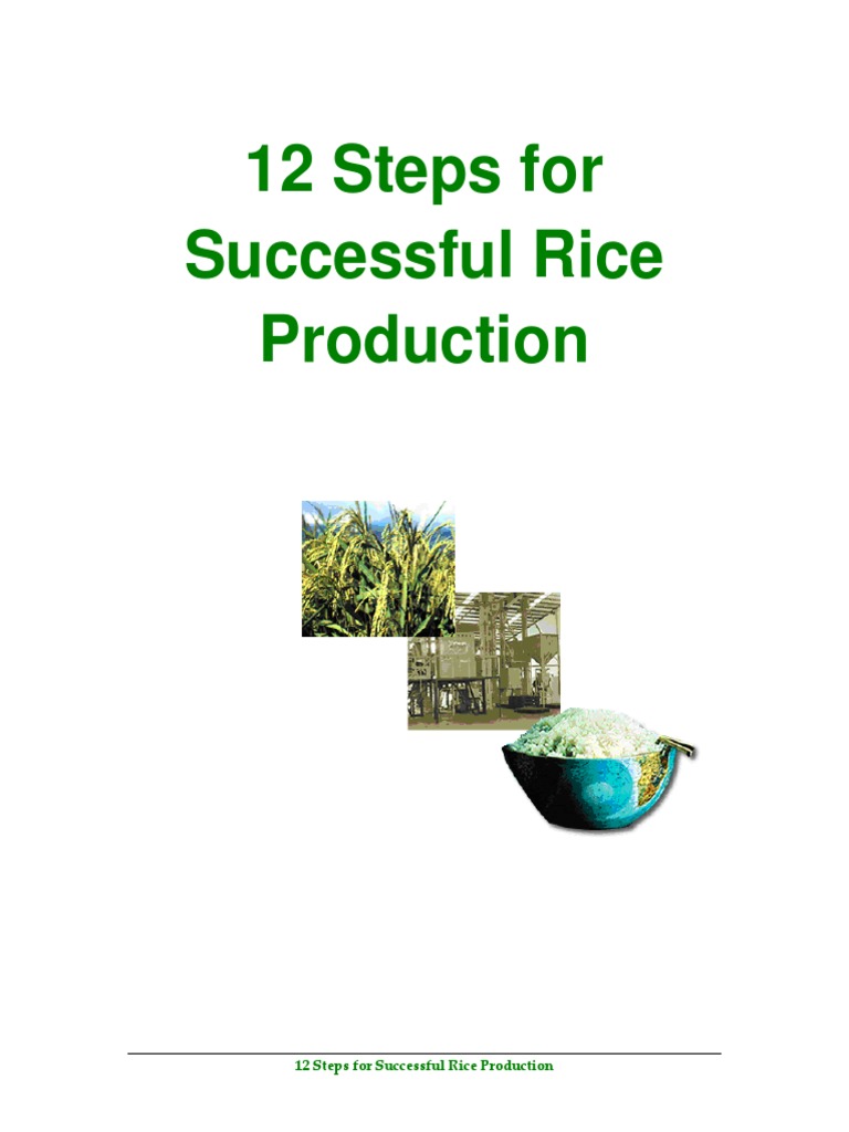 12 Steps to Successful Rice Farming | PDF | Rice | Weed