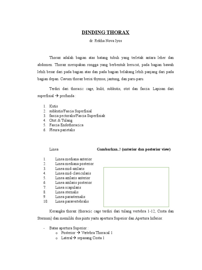 Dinding Thorax Dan Sistem Respirasi | PDF