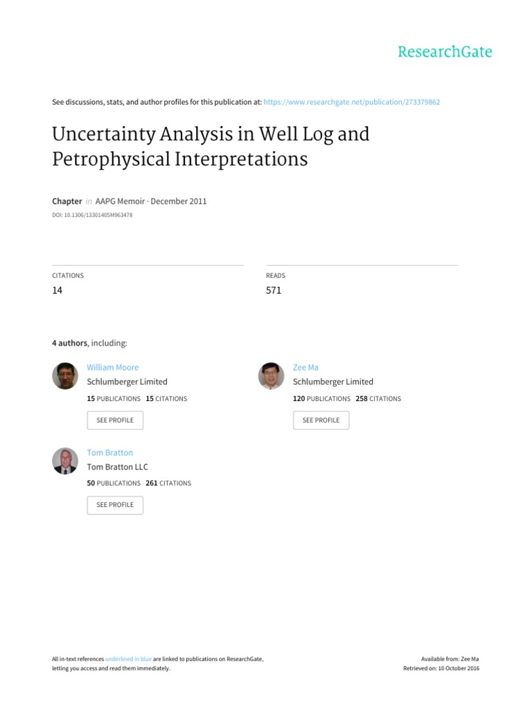 Well Log Uncertainty | PDF | Sensitivity Analysis | Petroleum Reservoir