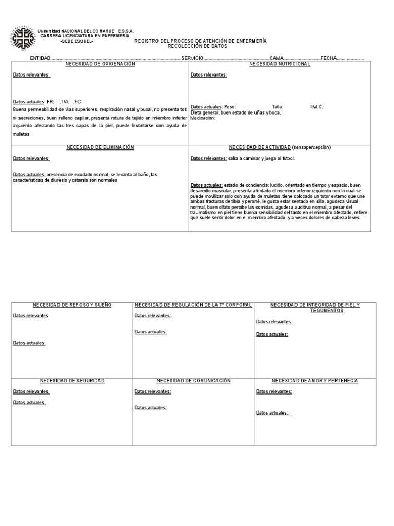 Virginia Henderson Formato de PAE | PDF | Enfermedades y trastornos ...