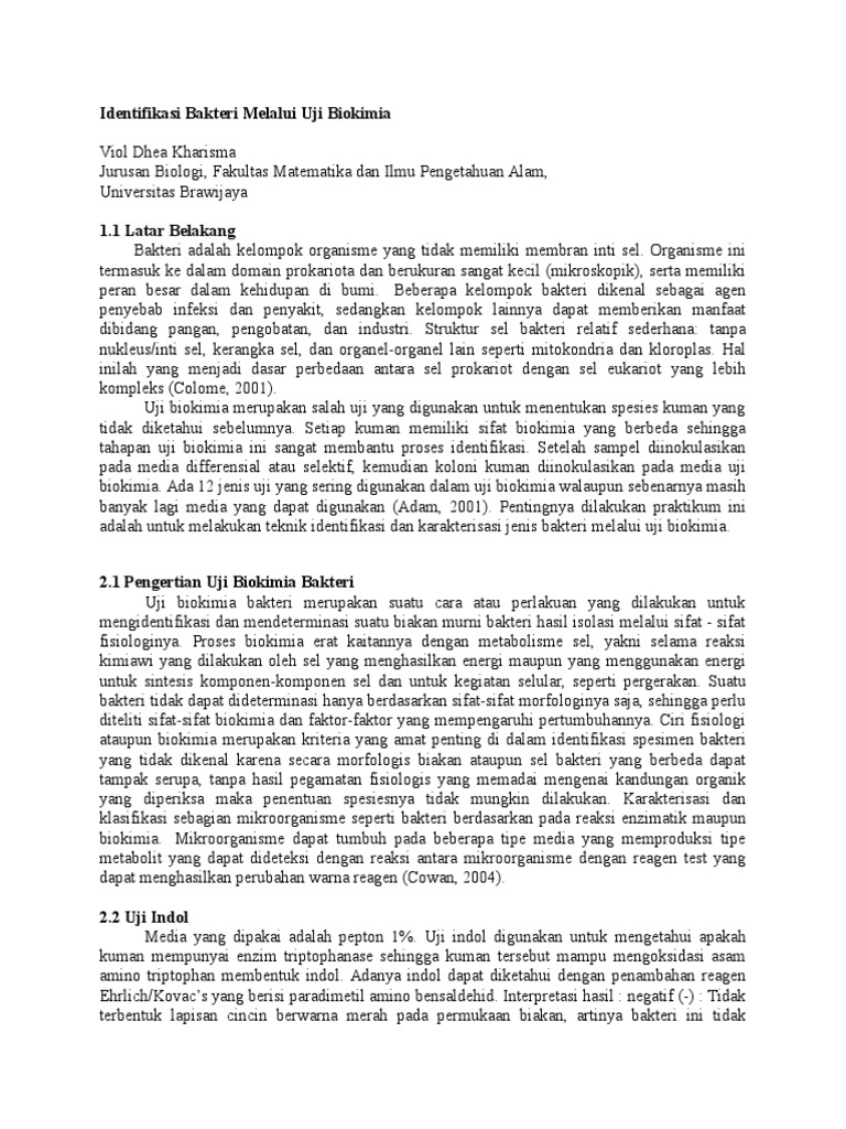 Identifikasi Bakteri Melalui Uji Biokimia | PDF