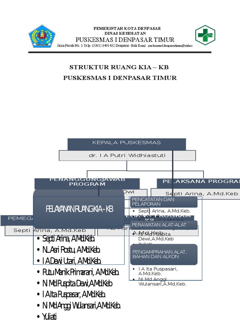 Struktur Program KIA-KB Puskesmas Denpasar | PDF | Karier ...