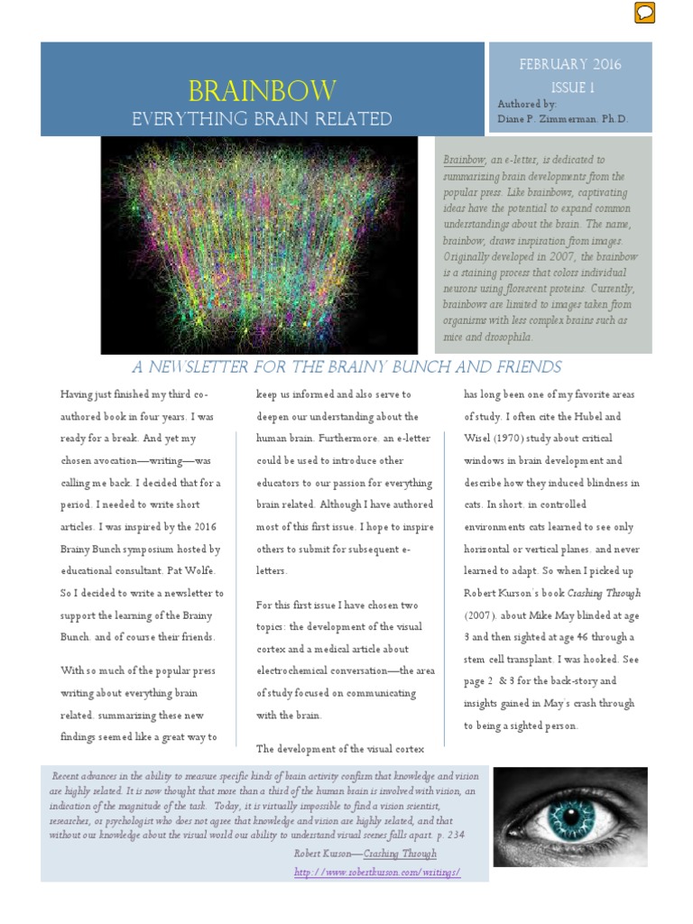 Brainbows 2 16 No 1 Compressed | PDF | Visual Perception | Visual Impairment