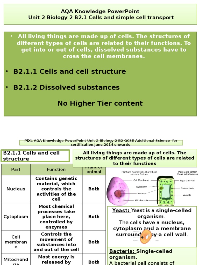 Pixl Knowledge Test Powerpoint - Aqa b2 Additional Science - Legacy ...