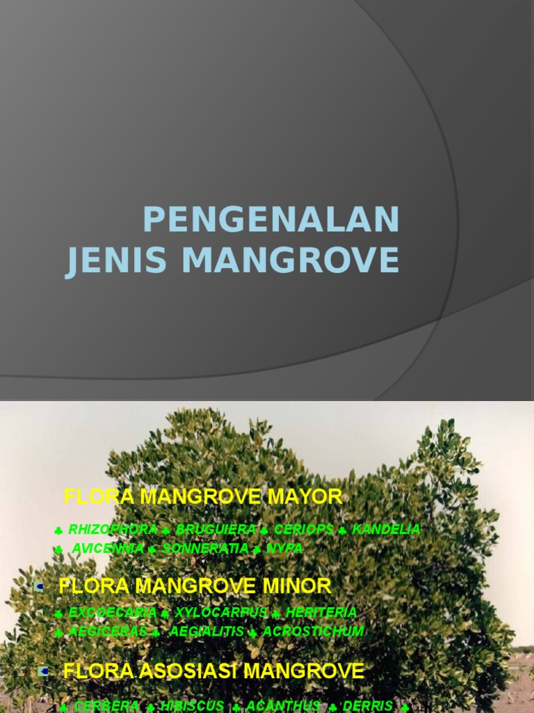 Jenis-Jenis Mangrove dan Klasifikasinya | PDF | Teknologi & Rekayasa