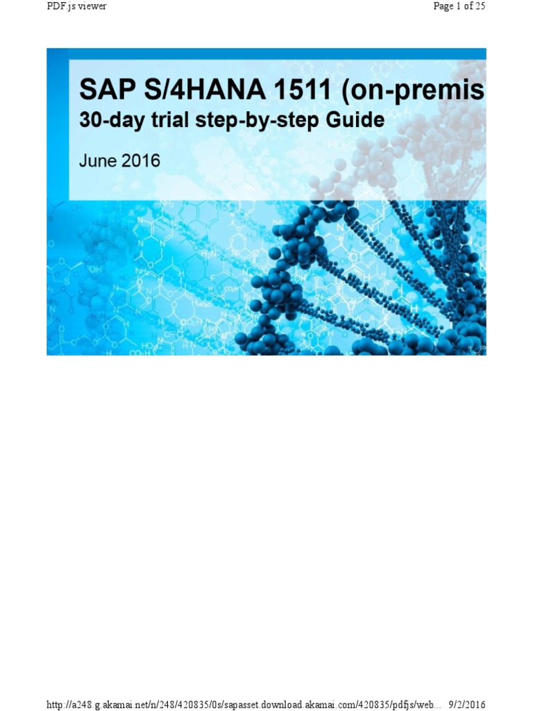 SAP HANA User Manual PDF Guide | PDF | Business