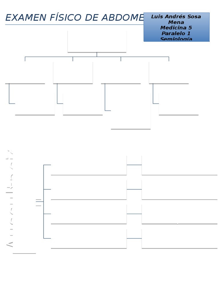 Mapas Examen Físico Abdomen | PDF | Bazo | Abdomen