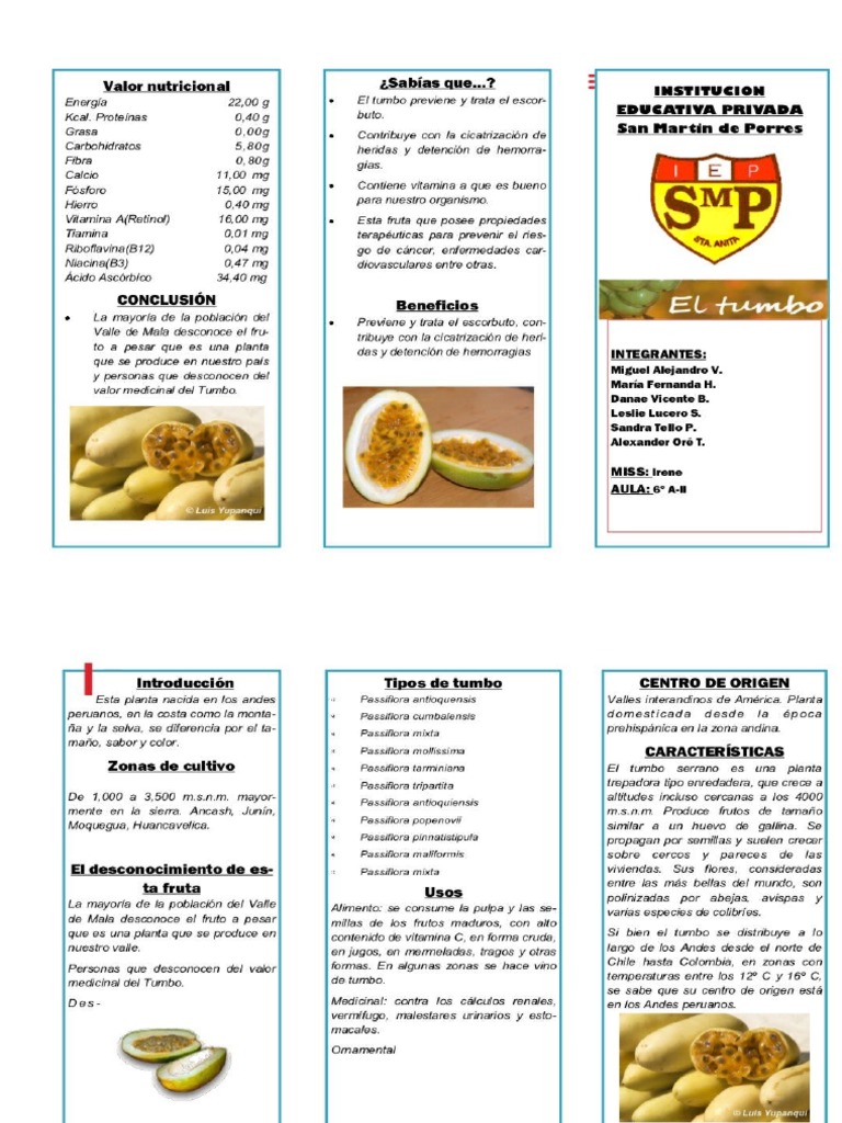 Triptico El Tumbo | PDF