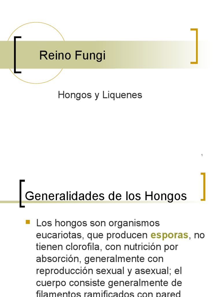 Reino Fungi - PPT (Fisiologia) | PDF | Hongo | Plantas