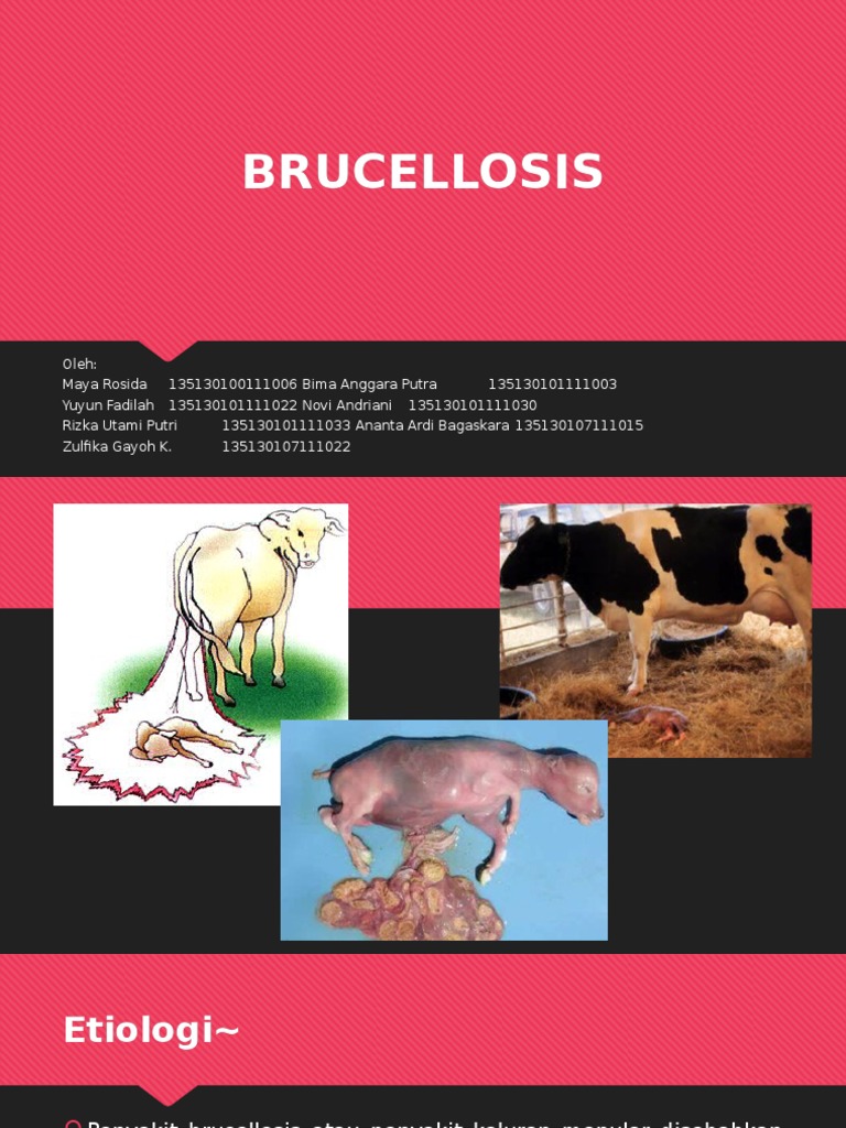 Brucellosis | PDF