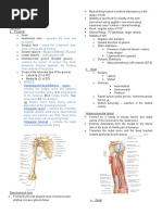 Derby Shoulder Instability Rehabilitation Programme v2.0 | PDF ...