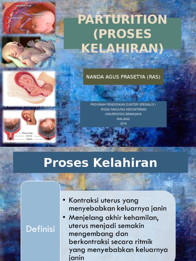 Parturition | PDF | Uterus | Hypothalamus