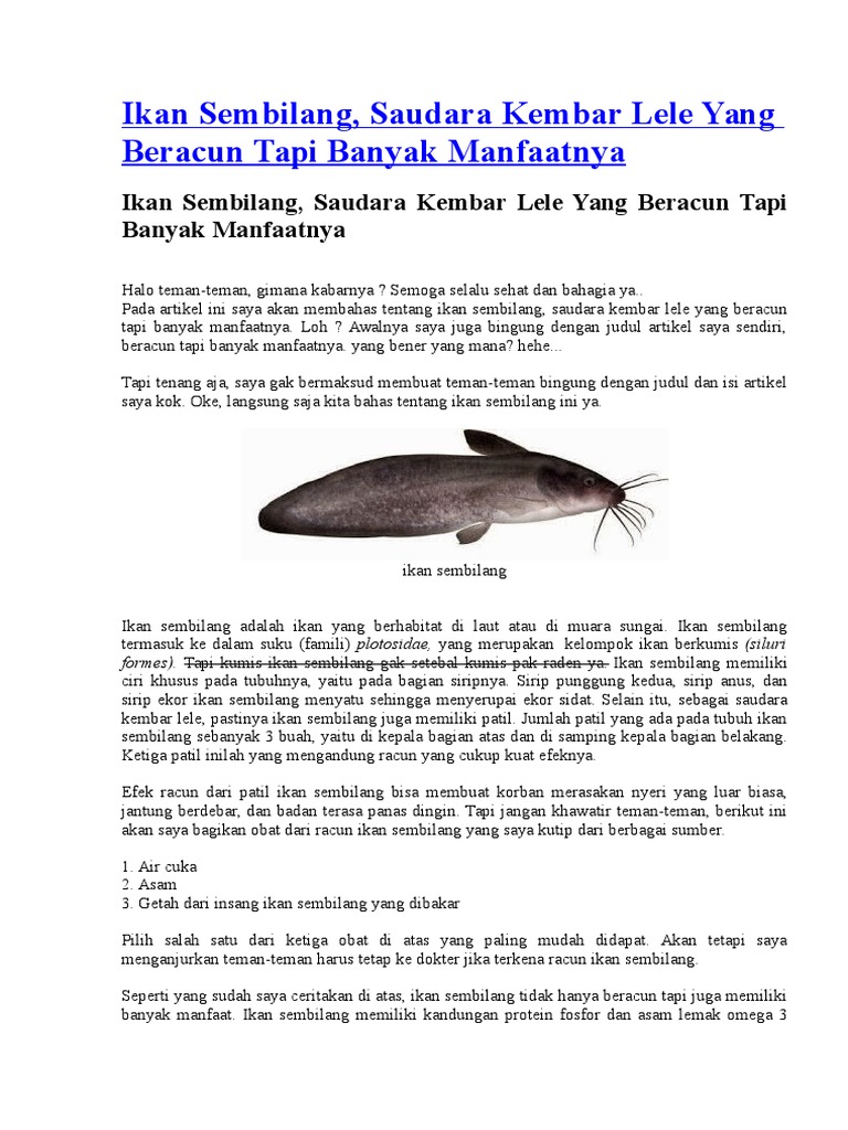 Ikan Sembilang | PDF
