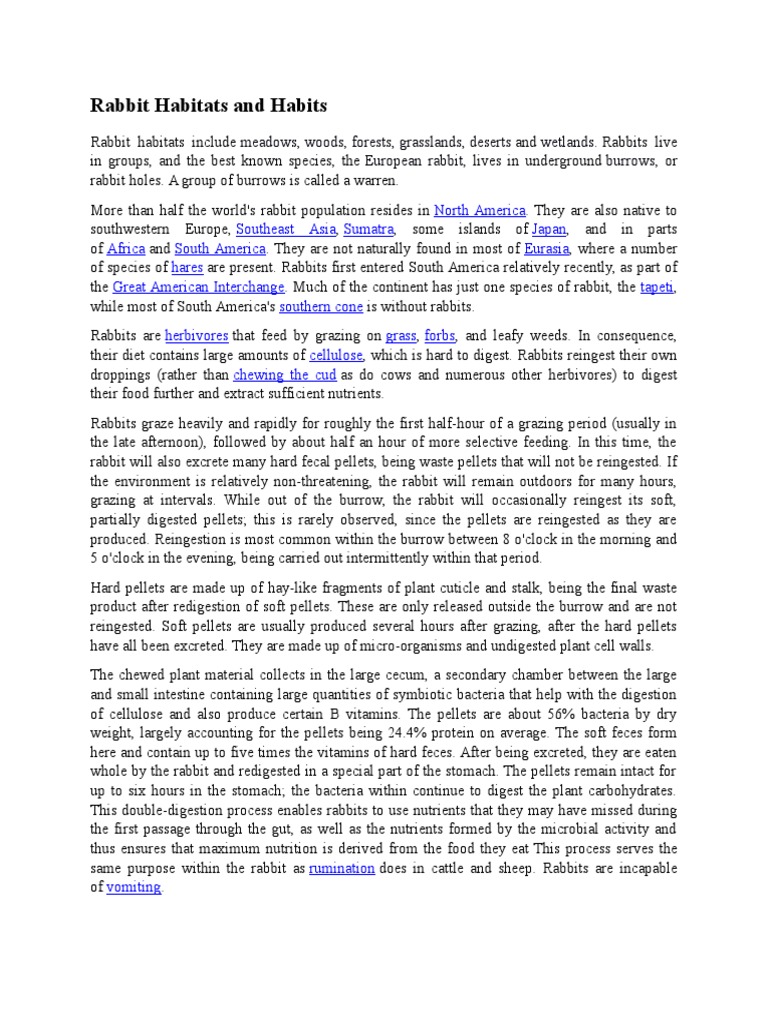 Rabbit Habitats and Habits | PDF | Rabbit | Grazing