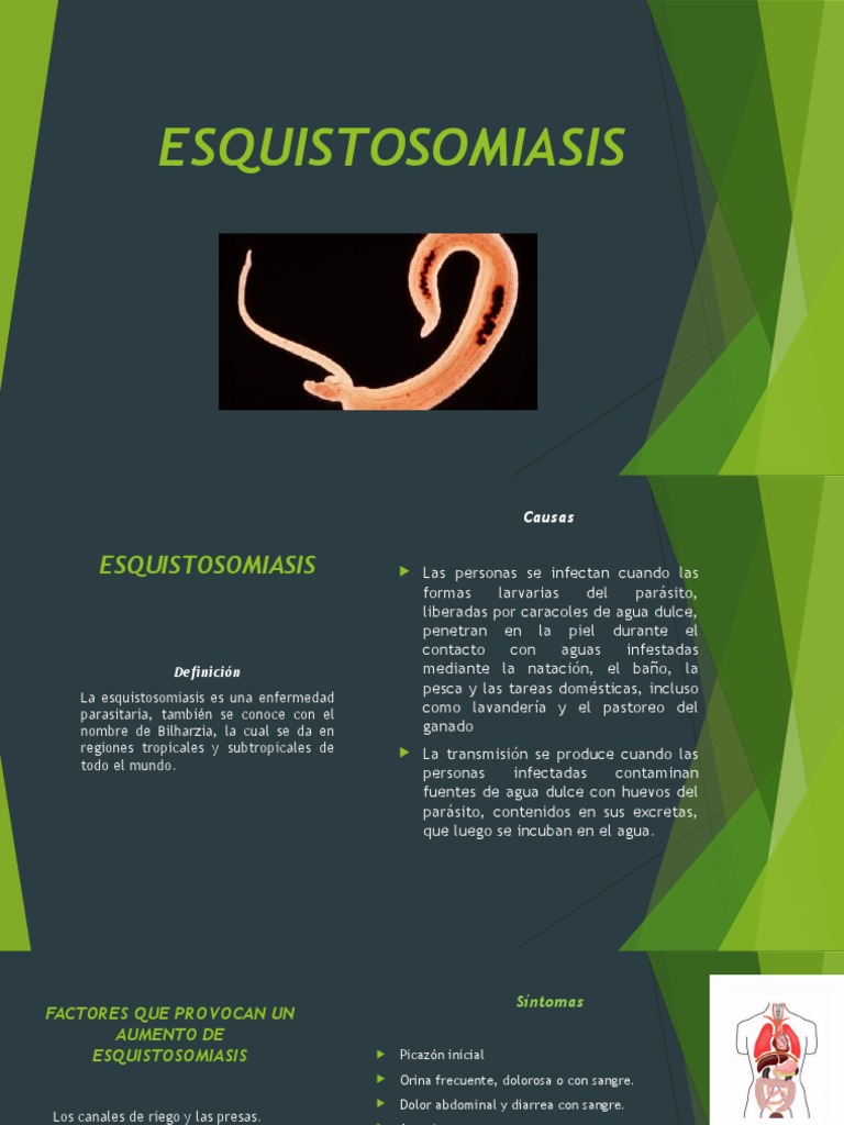 ESQUISTOSOMIASIS PDF Enfermedades Y Trastornos Salud P blica