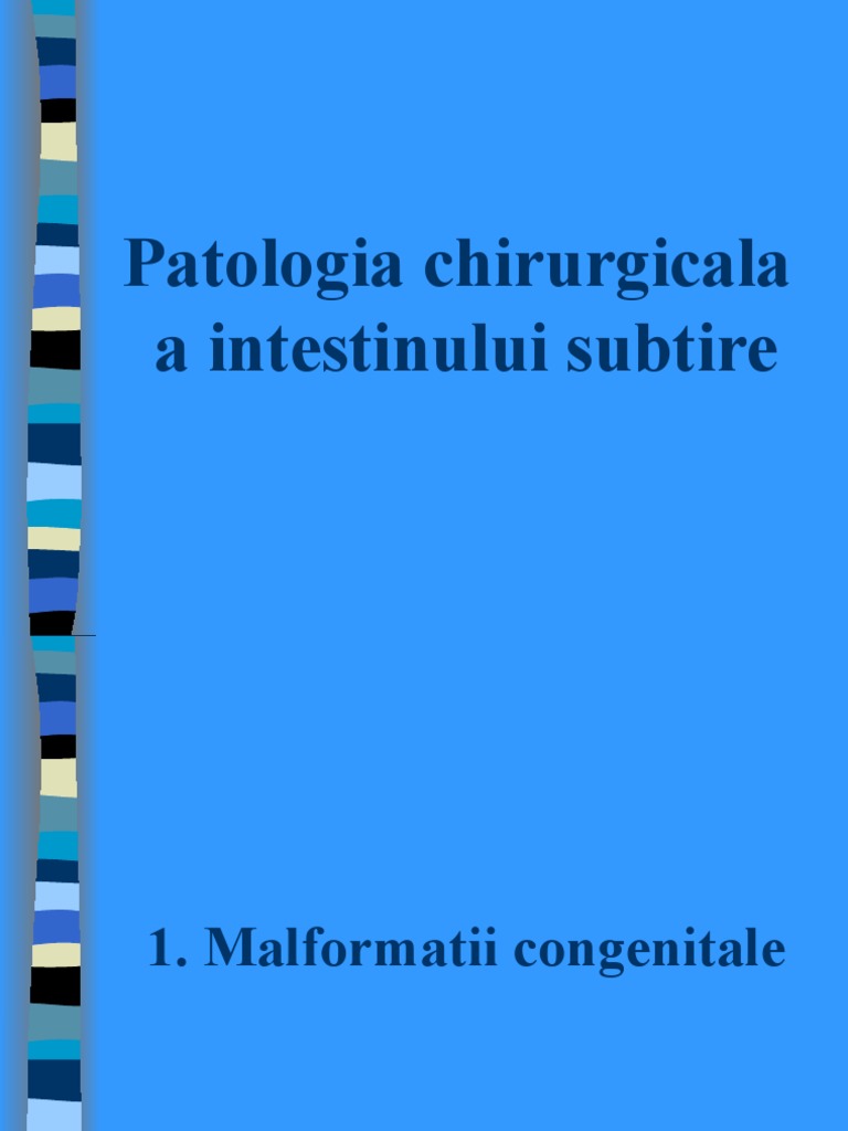 Intestin Subtire | PDF