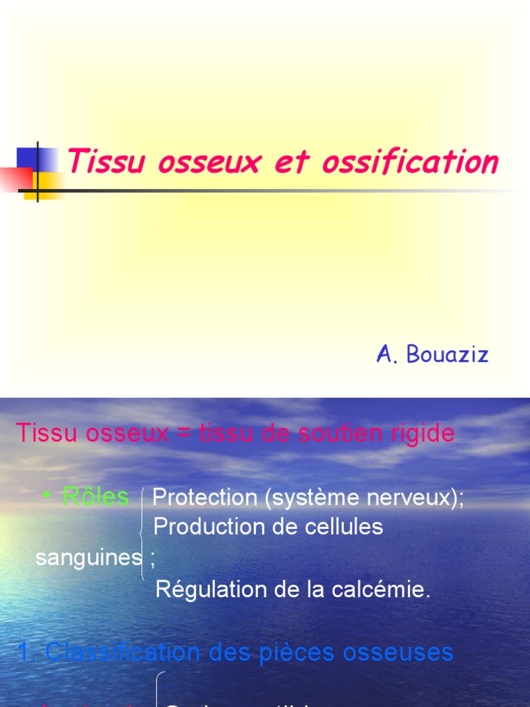 Ossification et tissu osseux | PDF | Os | Cartilage