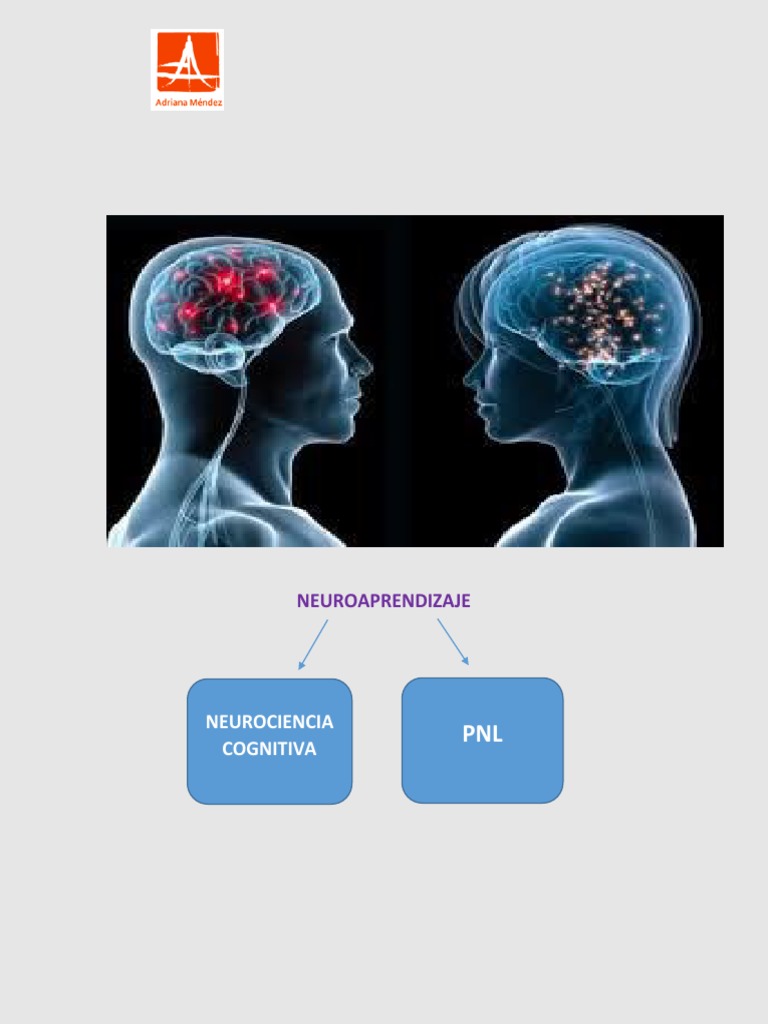 Neuroaprendizaje y PNL | Mente | Cerebro