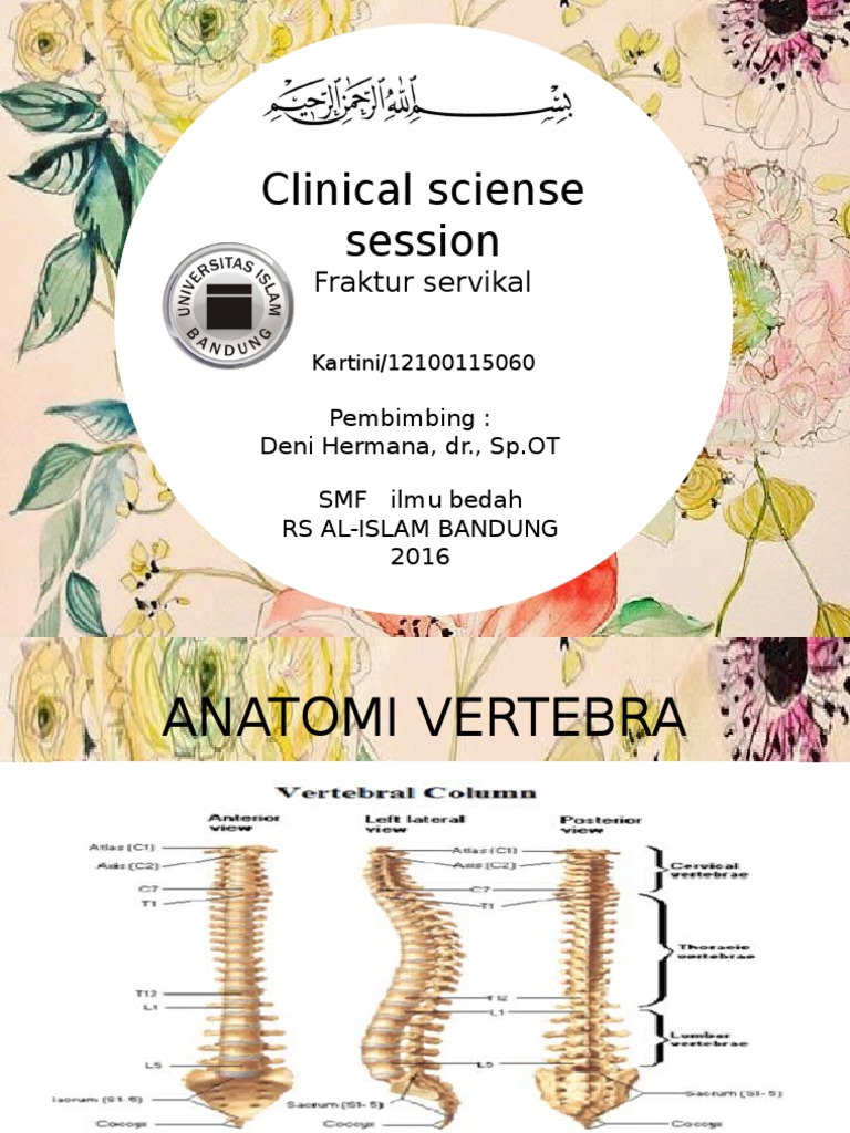 Css Fraktur Servikal Kartini | PDF | Sains & Matematika