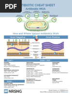 Antibiotic Worksheet | PDF | Beta Lactamase | Antibiotics