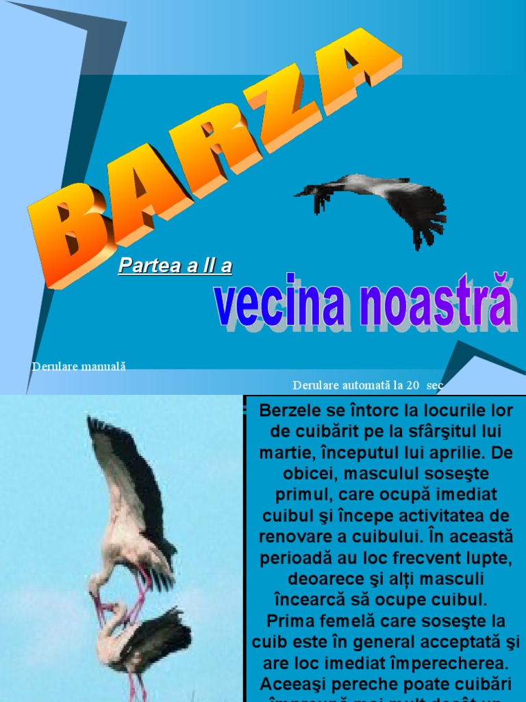 Barza Parteaaiia3 | PDF