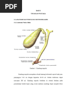 Anatomi dan Segmen Hepar Manusia | PDF