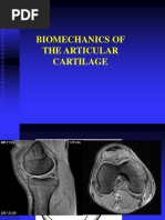 Screendem P KIrwan Spondyloarthropathy | PDF