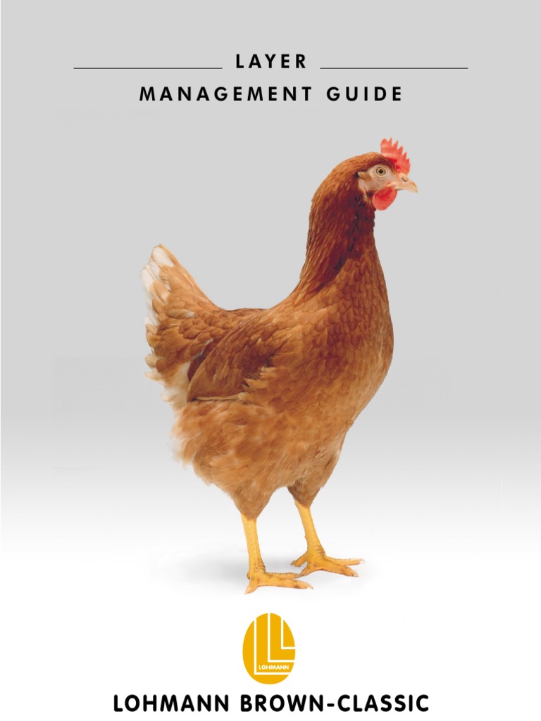 Brown Lohman | Poultry Farming | Nutrients