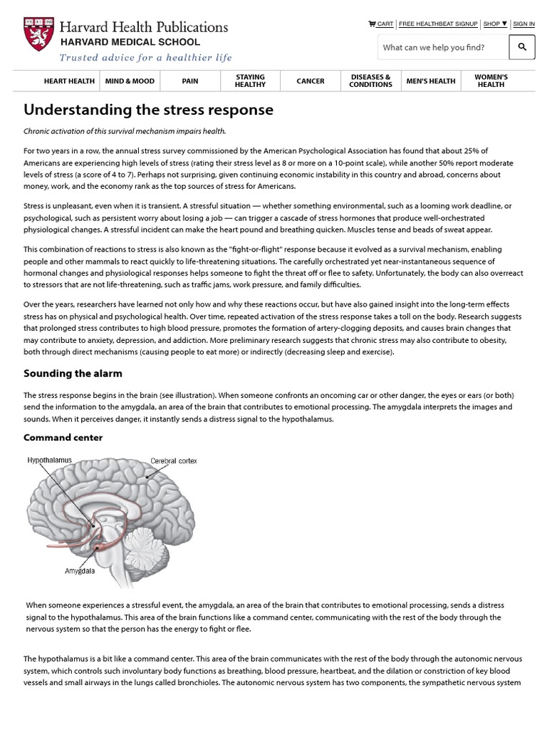 Understanding The Stress Response - Harvard Health | PDF | Epinephrine ...