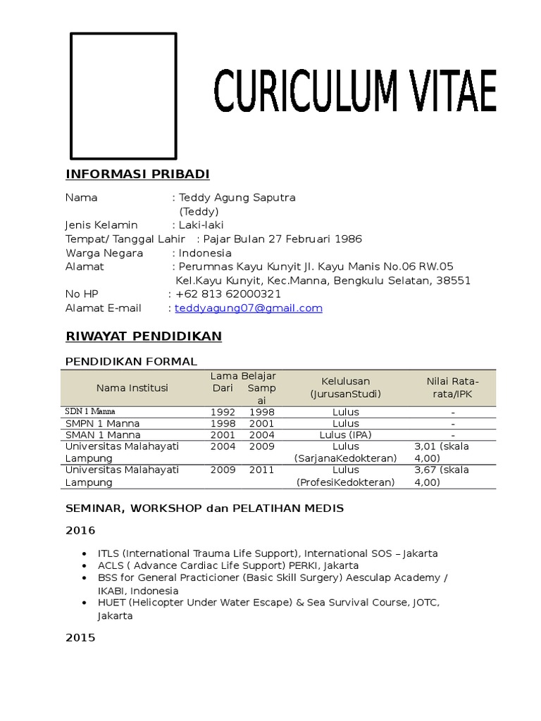 CV B.indonesia | PDF