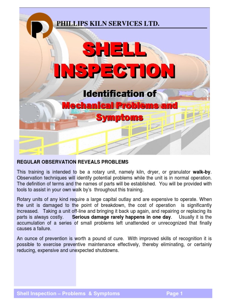 Shell Inspection | PDF | Nondestructive Testing | Tire