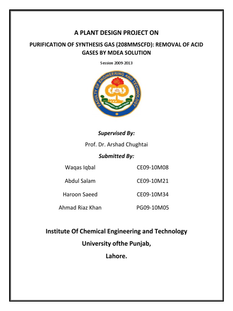 Final Year Project | PDF | Adsorption | Natural Gas