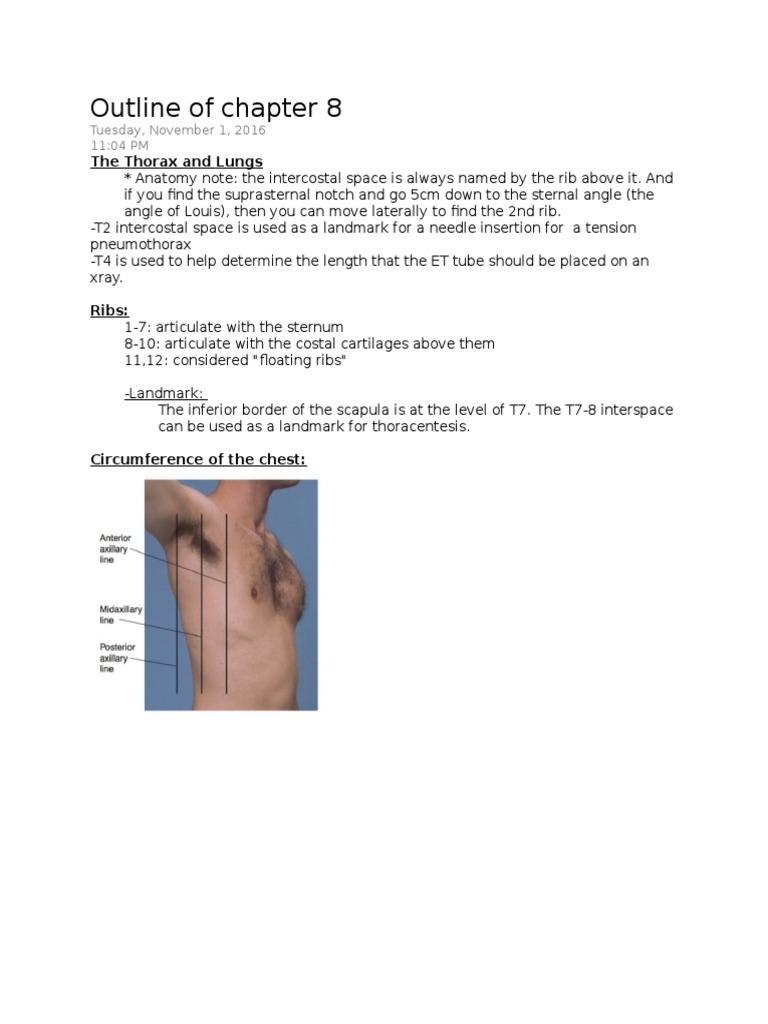 Bates Outline of Chapter 8 | PDF | Lung | Thorax