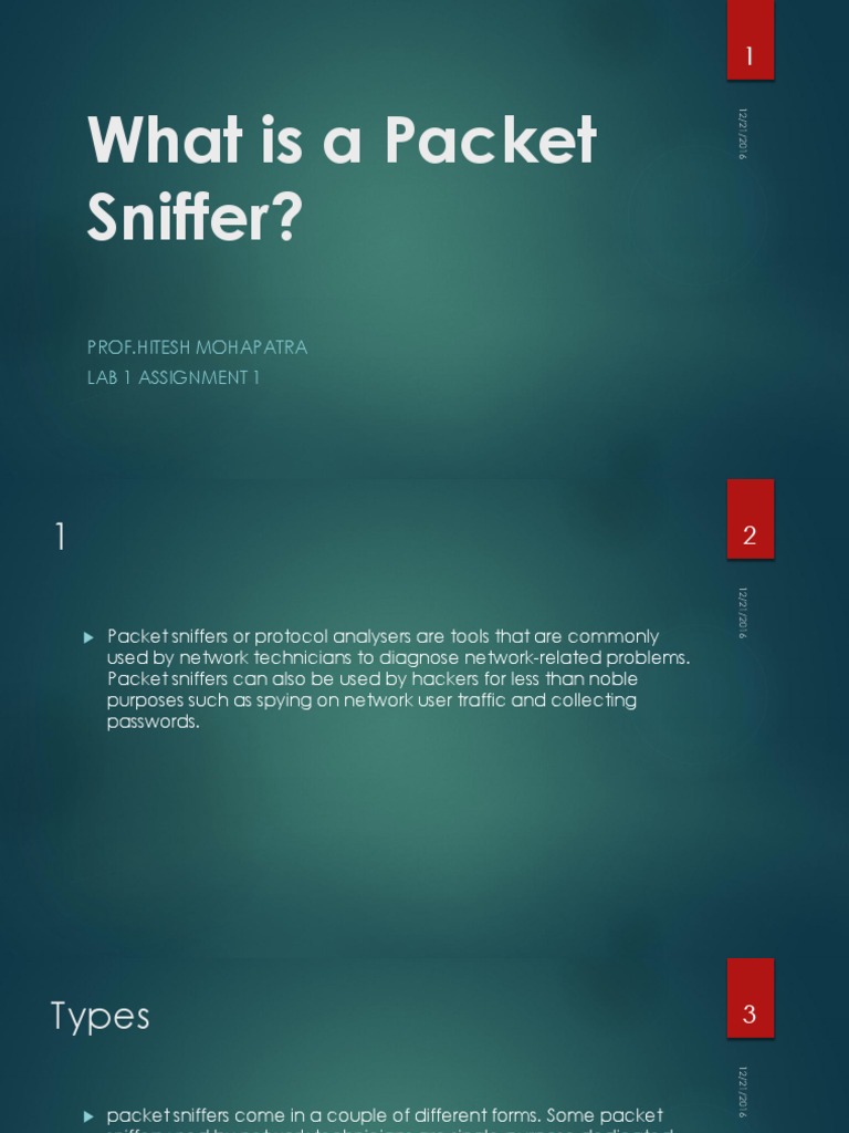What Is A Packet Sniffer ? | PDF | Network Socket | Network Packet