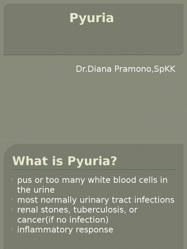 Pyuria.pptx | Diseases And Disorders | Public Health