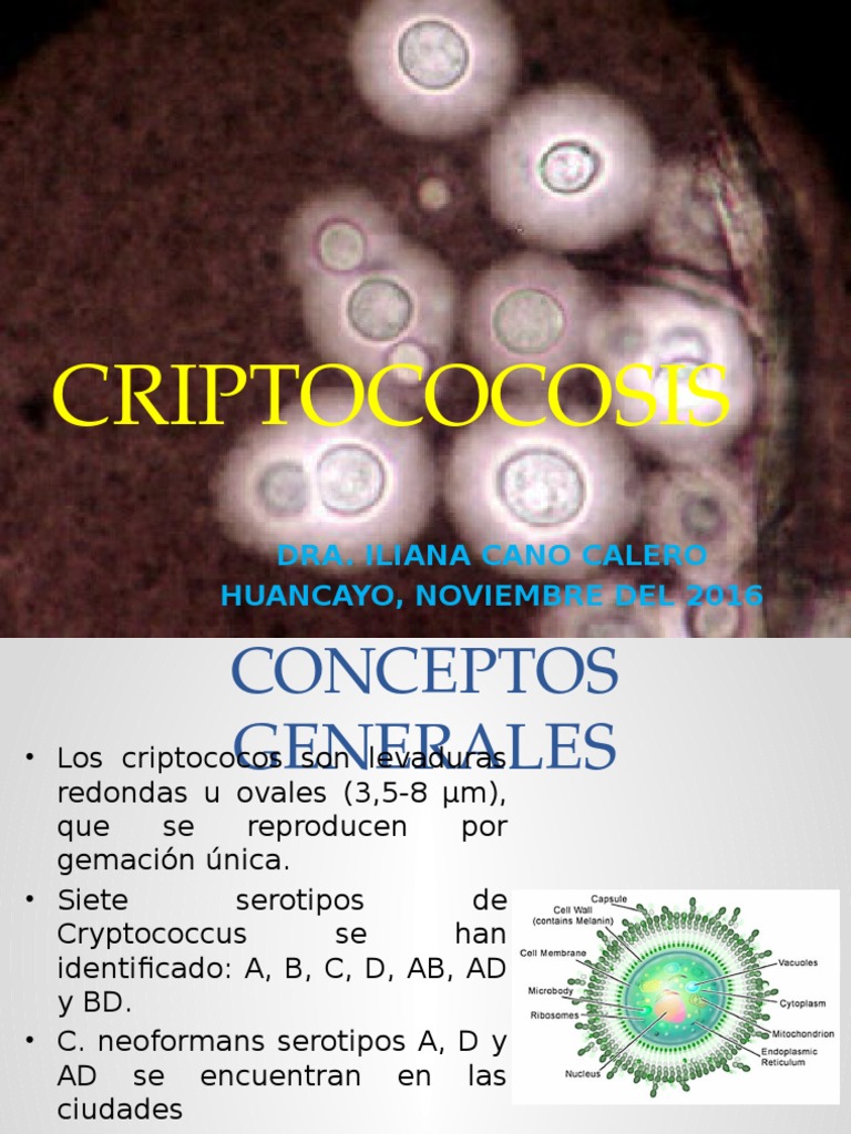 Criptococosis | PDF | Epidemiología | Especialidades Medicas