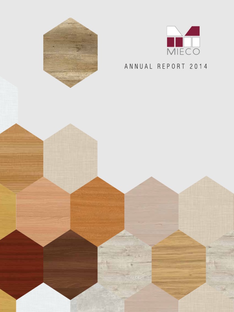 MIECO 5001 Financial Report PDF | PDF | Board Of Directors | Corporate Governance