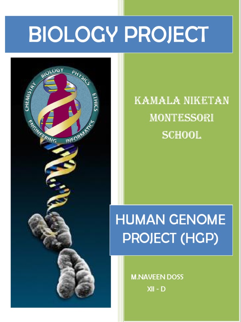 BIOLOGY Class 12 Project | PDF | Base Pair | Human Genome