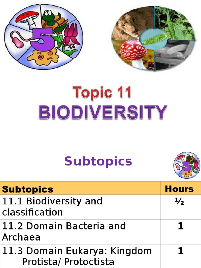 Biodiversity and Classification Overview | PDF | Taxonomy (Biology) | Taxa