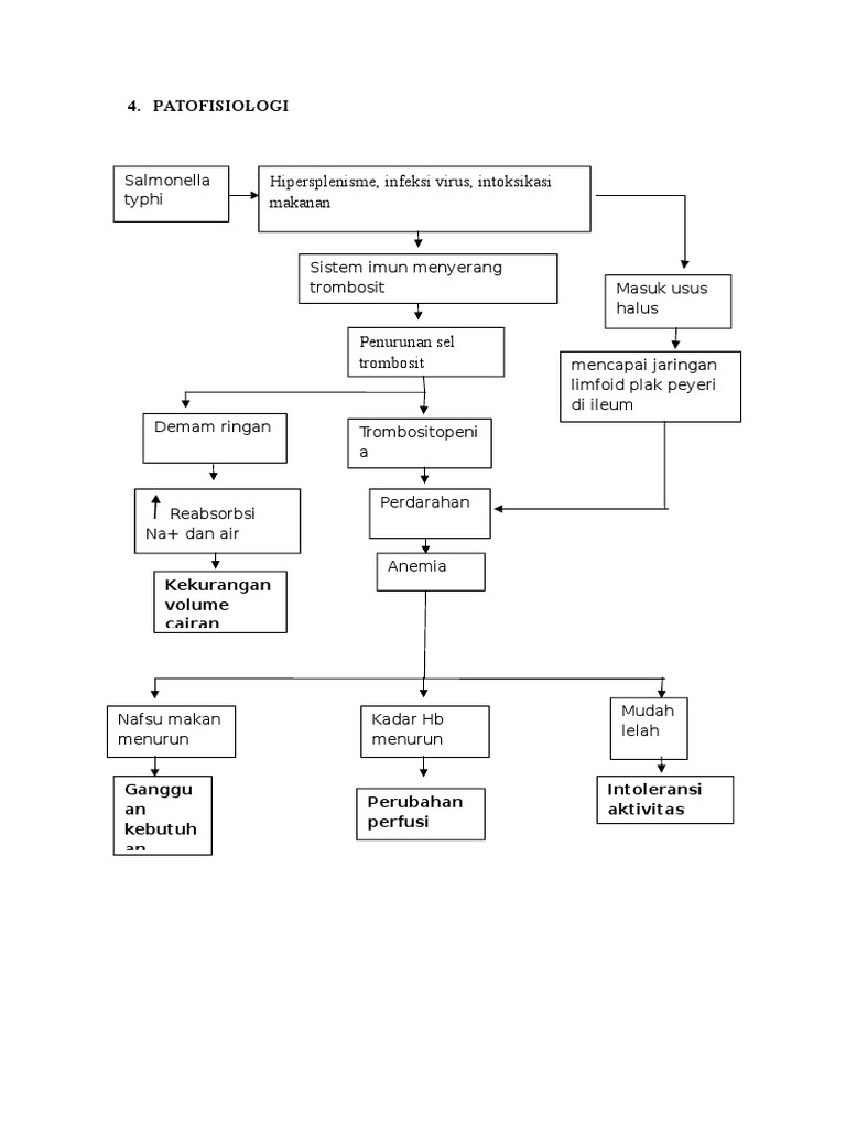 4. Patofisiologi: Hipersplenisme, infeksi virus, intoksikasi makanan