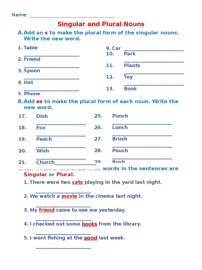Grade 3 Singular and Plural Worksheet | PDF | Morphology | Linguistics