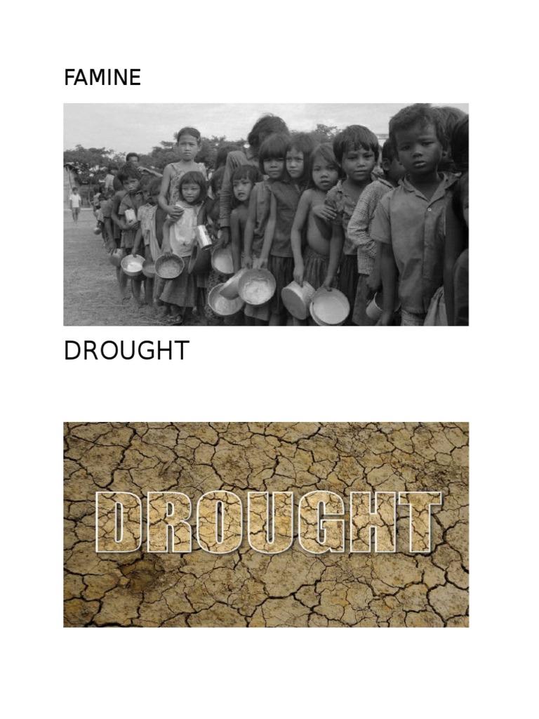 Famine | PDF