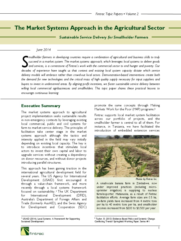 Market Systems Approach 0 | PDF | Supply Chain | Market (Economics)