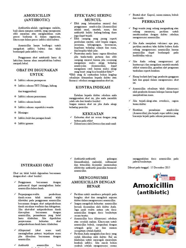 Leaflet Obat | PDF