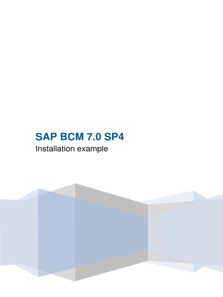 Sap BCM 7.0 Sp4: Installation Example | PDF