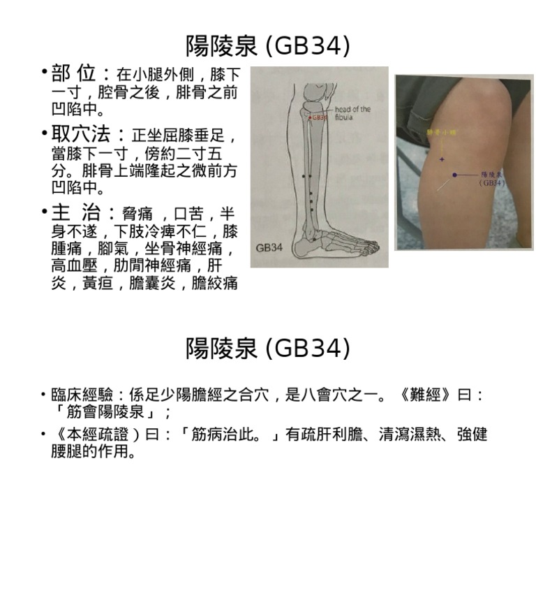 Acupuncture Point GB34 | PDF